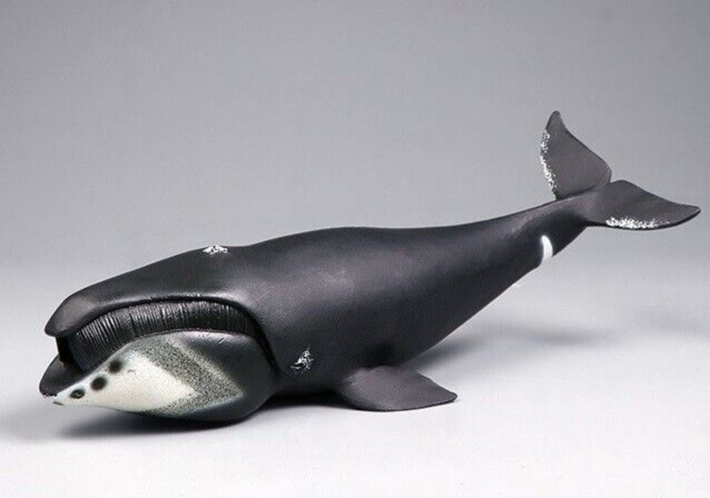 PVC Bowhead Whale Sea Animal Toy Action Figure Doll Kids Toys Party ...