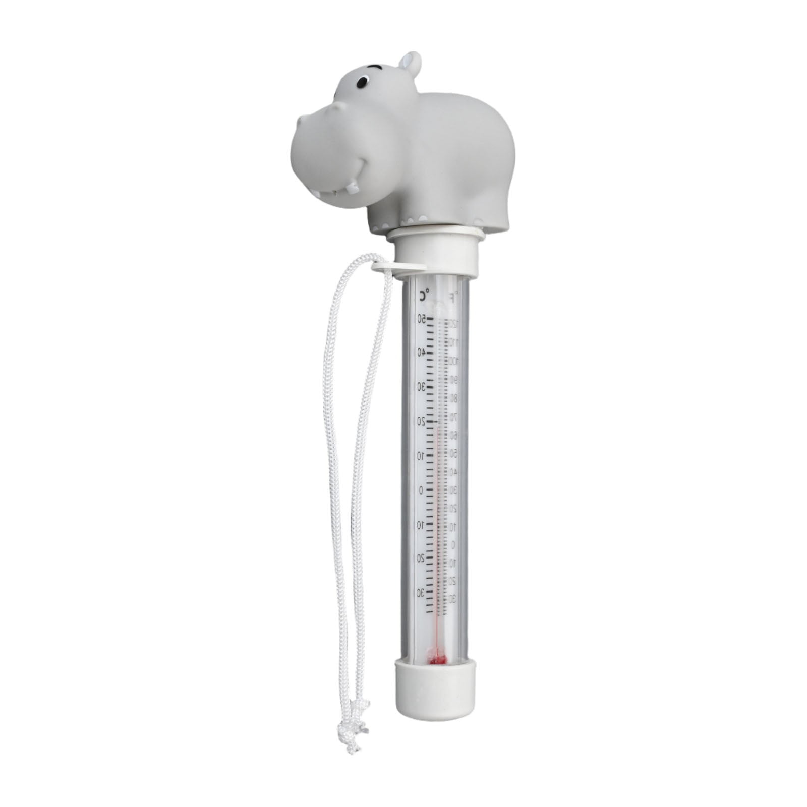 Ice Bath Thermometer Cute Animal Floating Water Thermometer Dual ...
