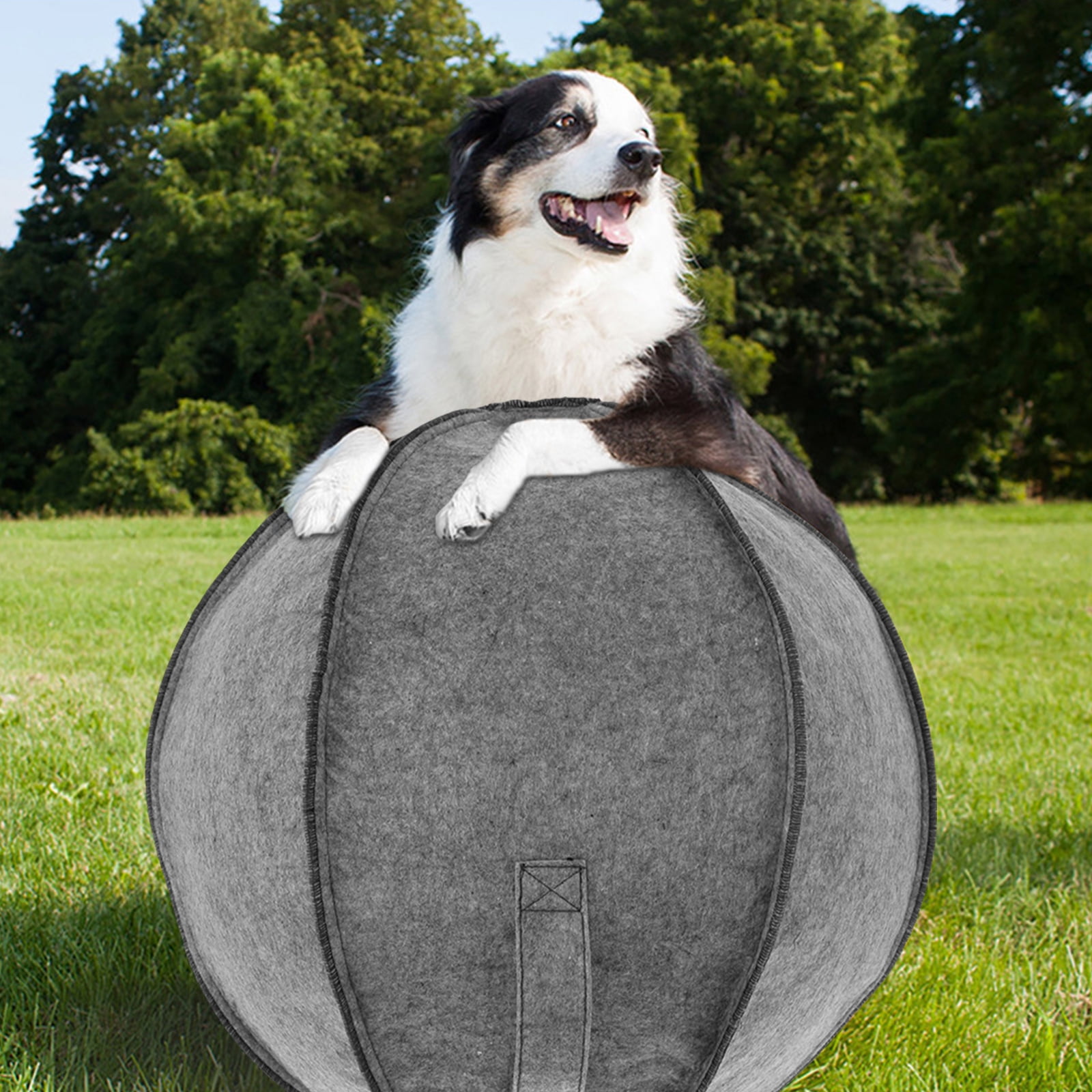 PVC Plastic Dogs Herding Ball With Portable Handle Inflatable Pet ...