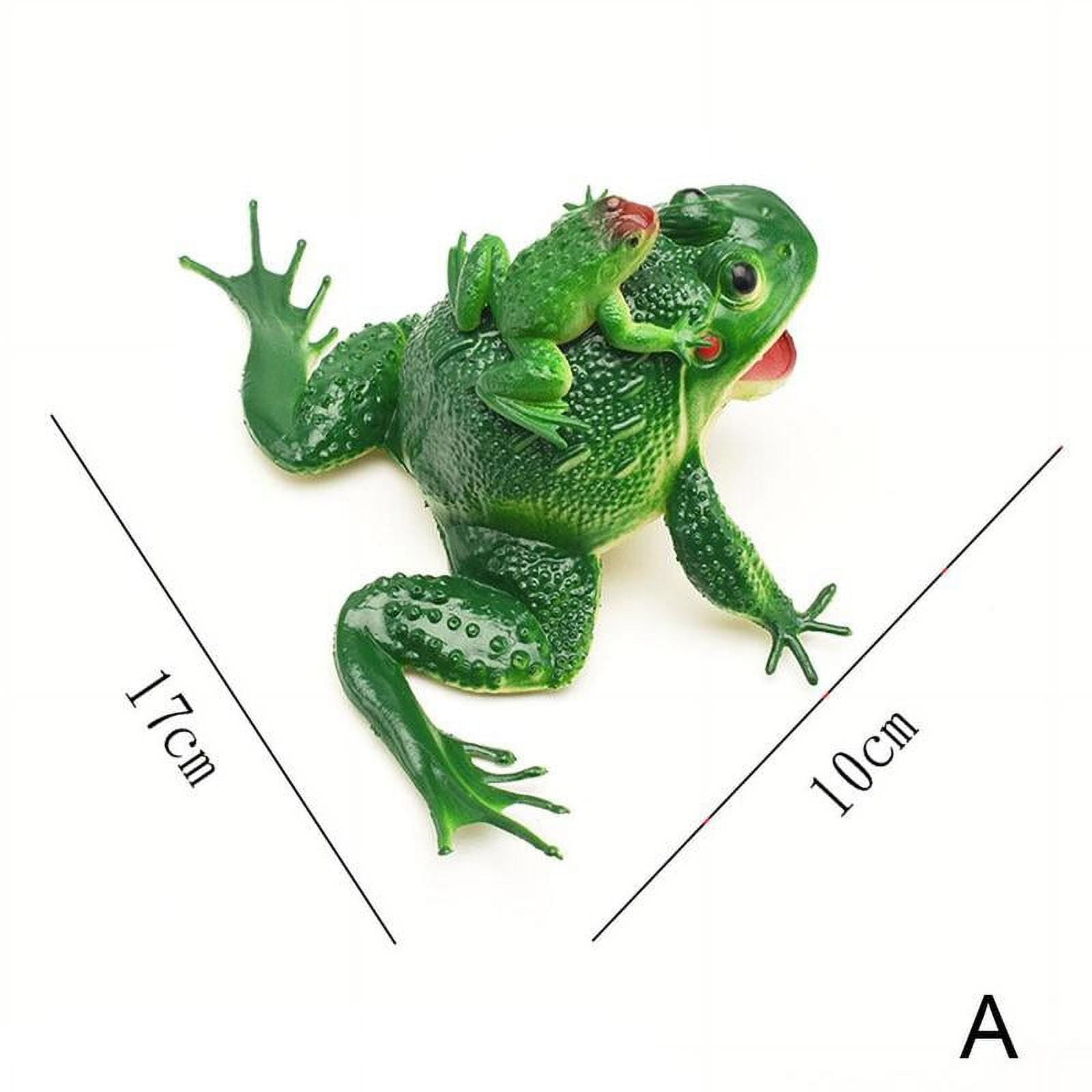 PVC Toy Growth Cycle Life Cycle Model Set Frog Mode_ Y8E1 - Walmart.com