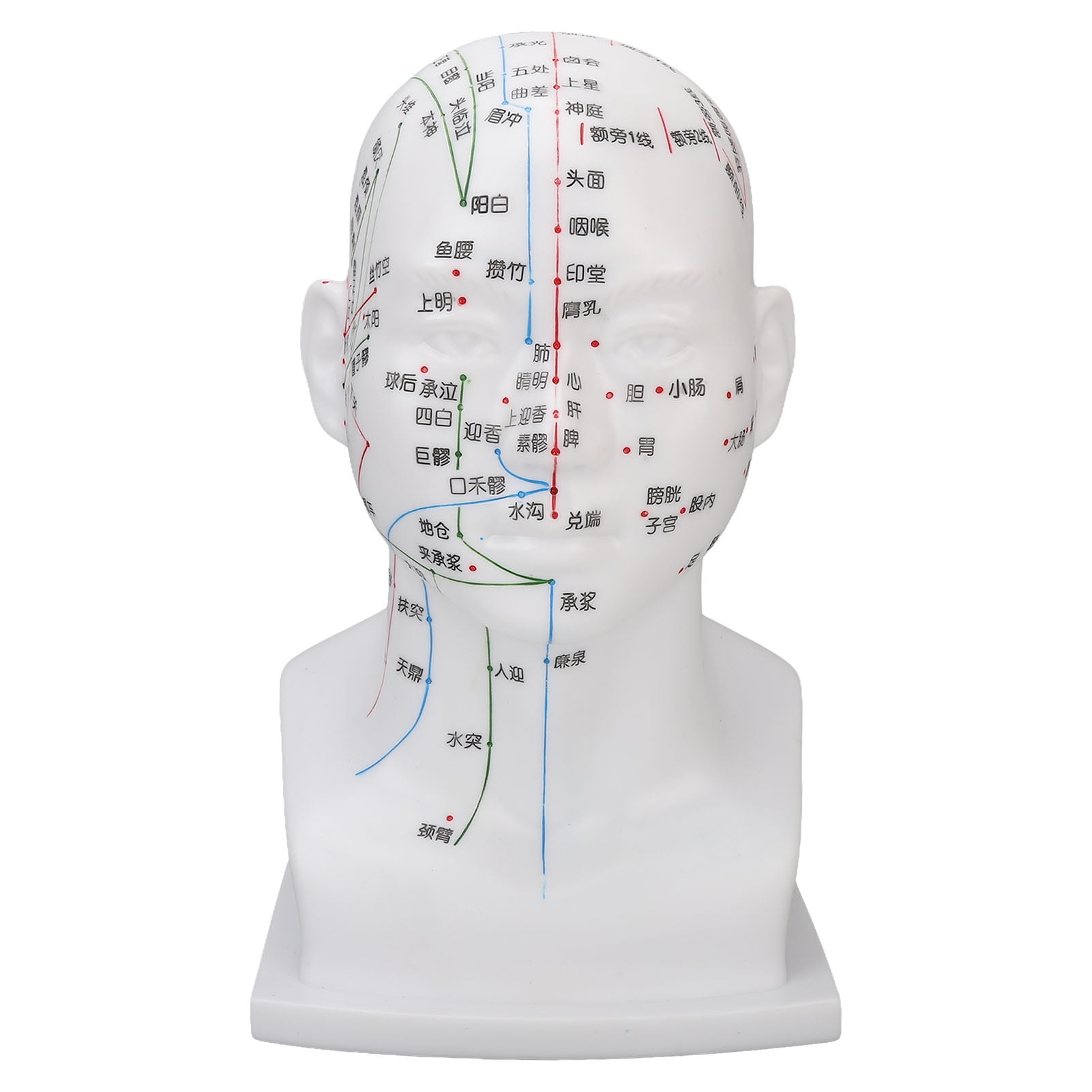 PVC White Acupuncture Head Model - 11.8 Inch Massage Meridians Teaching ...
