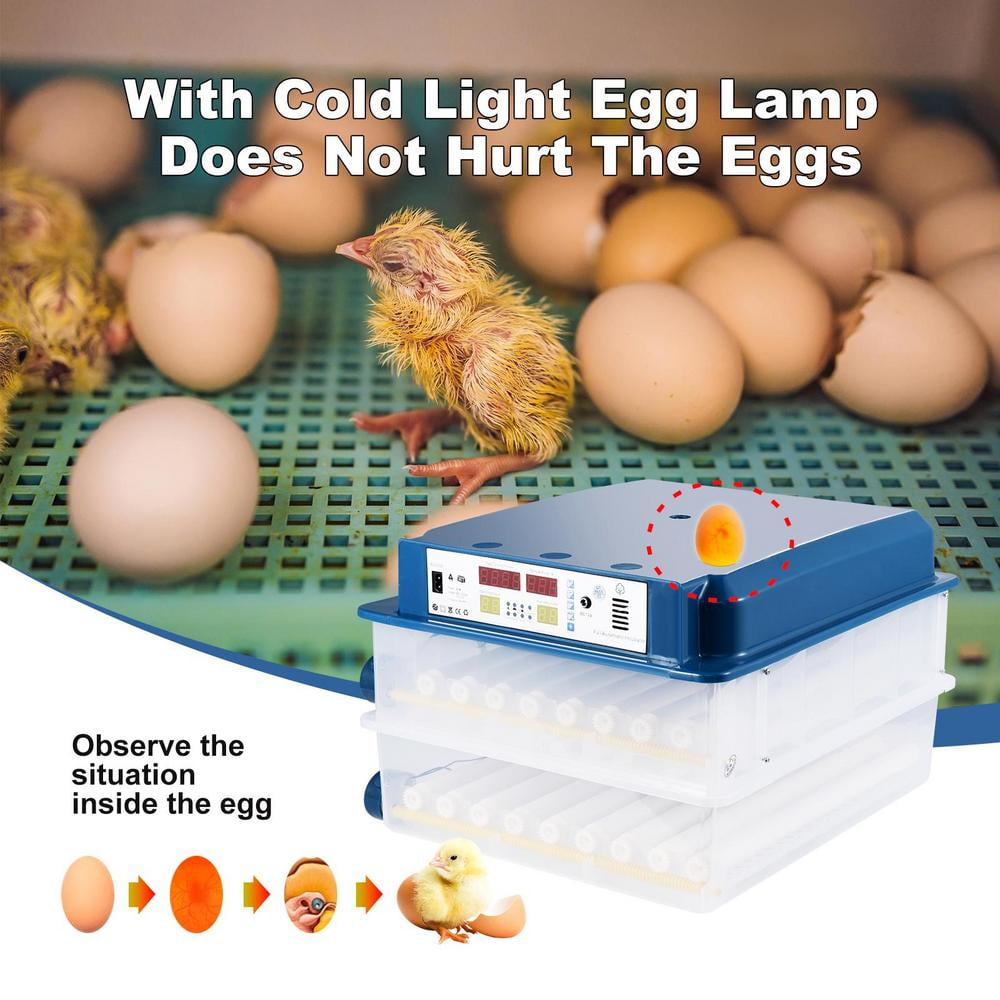 PWTOOL Automatic Egg Hatcher Humidity Control Egg Turning Hatcher ...
