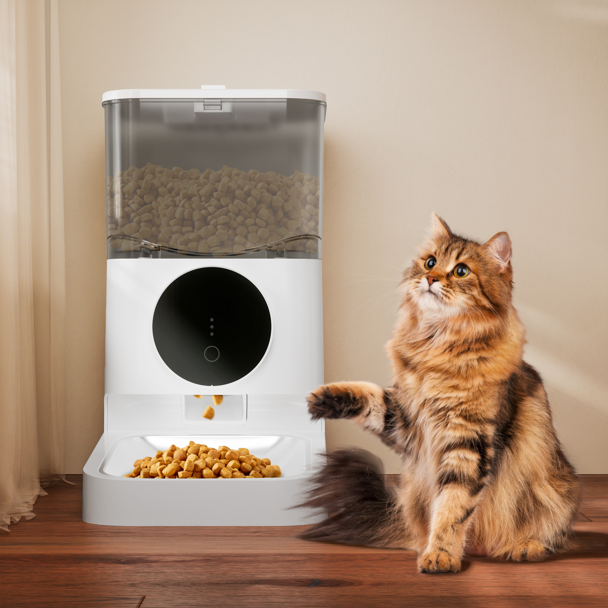 PetSafe Healthy Pet Simply Feed Automatic Dog and Cat Feeder, Dispenses ...