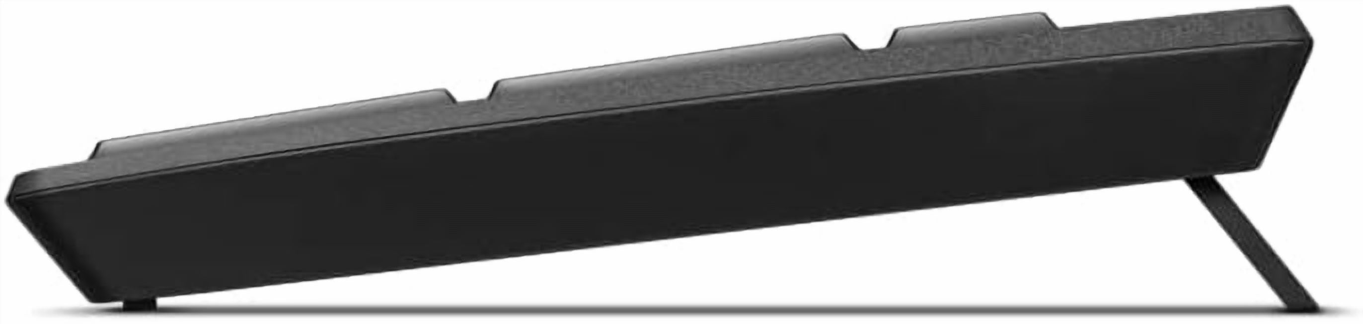 PYYAN-100 Wireless Compact Keyboard – Cordless Keyboard for PC & Laptop ...