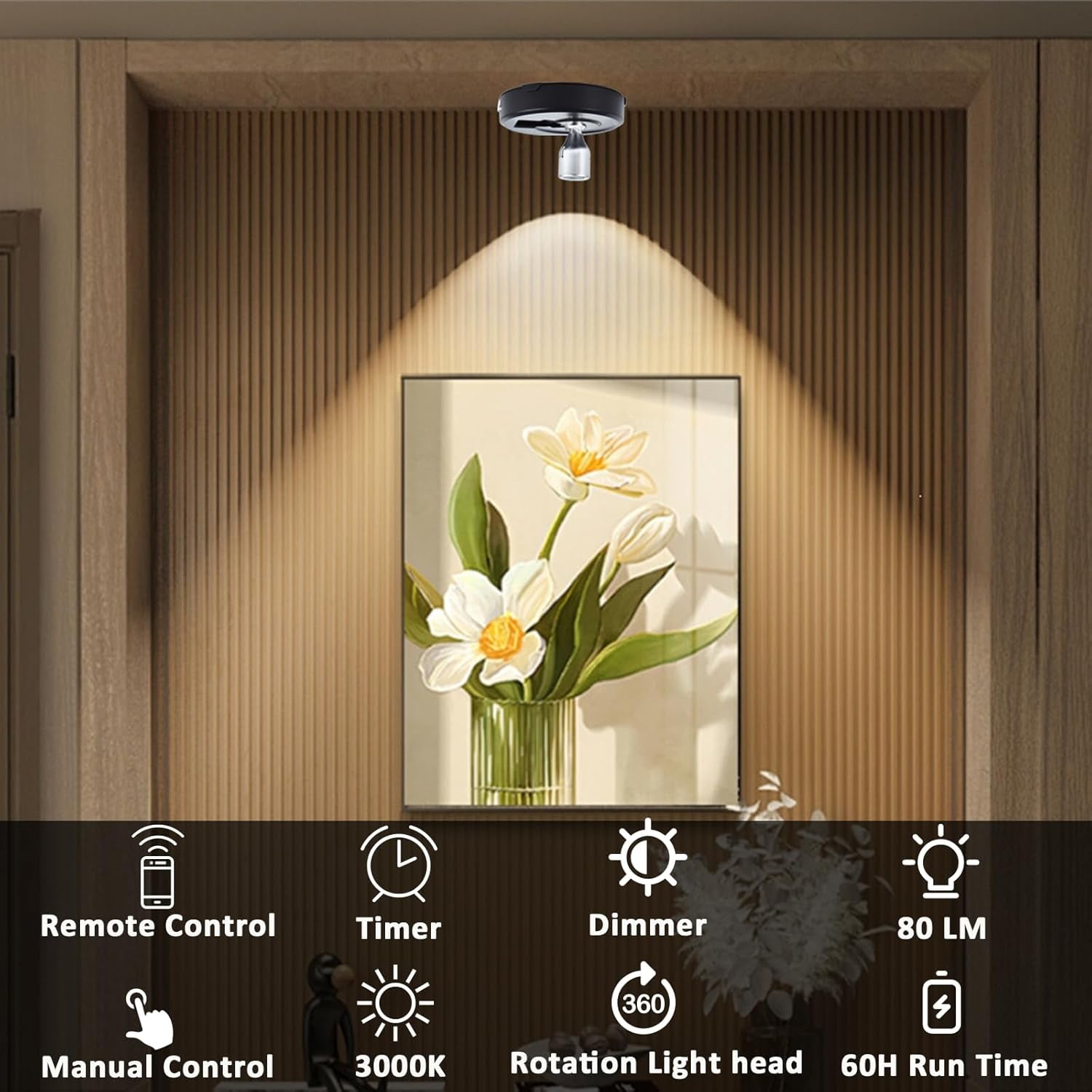 PYYAN-Battery Powered Picture Lights, 2Pack LED Spotlight, Uplighting ...