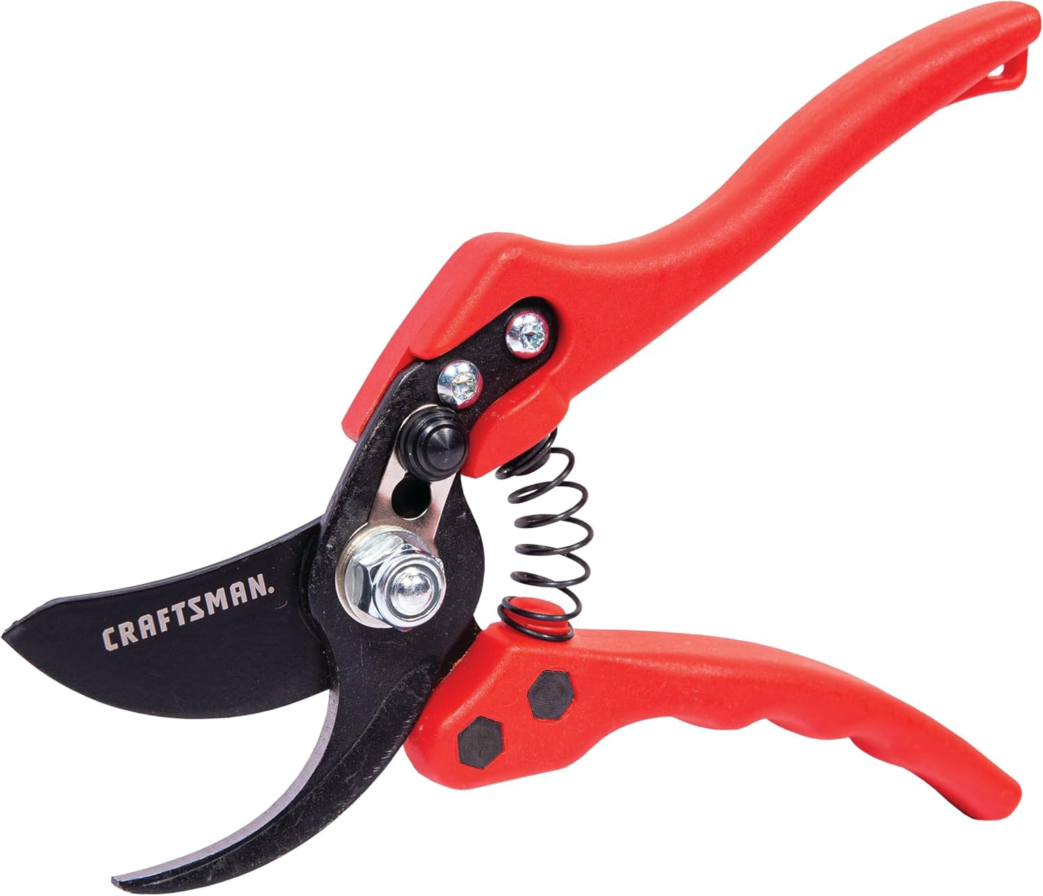 PYYAN-Stem and Branch Pruning Bundle: Bypass Pruner and Garden Snips ...