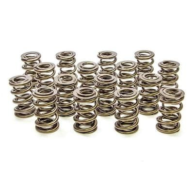 Pac Racing Springs PAC-1228-16, 1.625 Dual Valve Springs - (16 ...