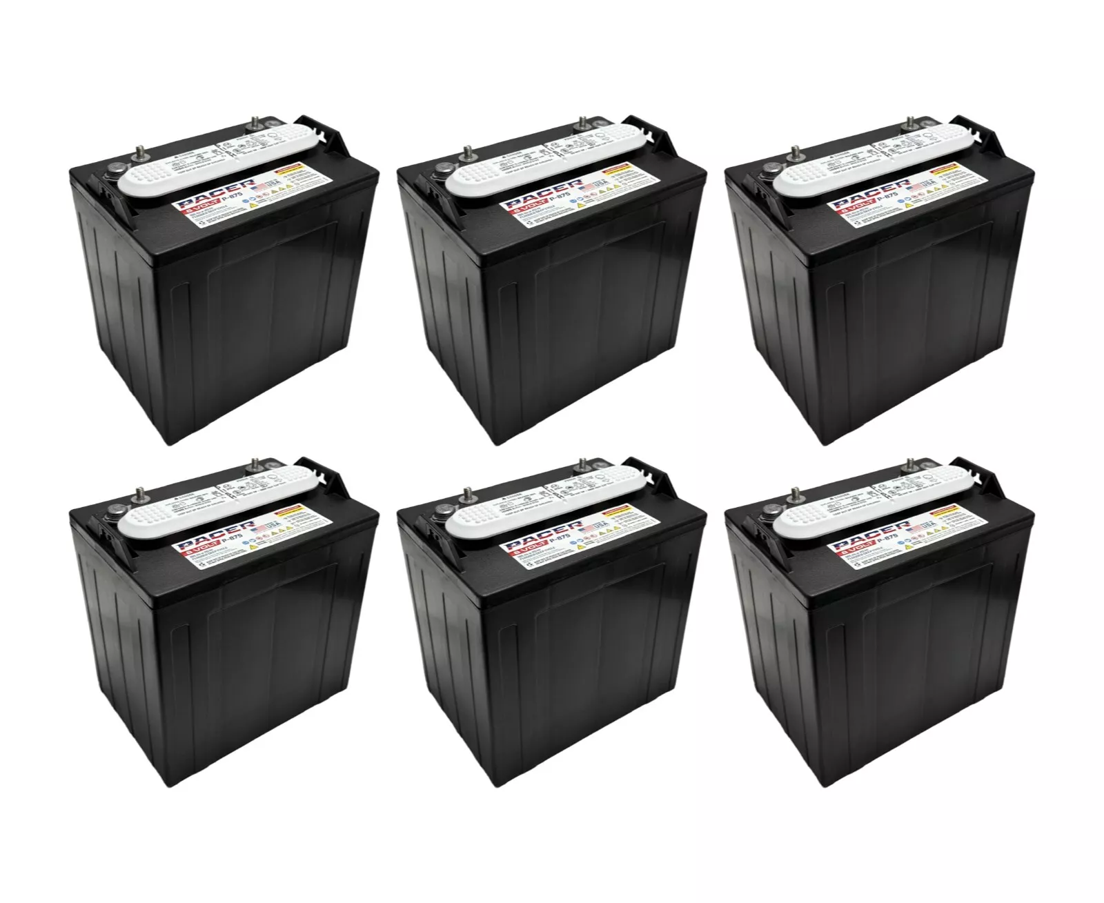 Pacer P-875 8 Volt 165Ah Deep Cycle Battery - Replaces Trojan T-875 ...