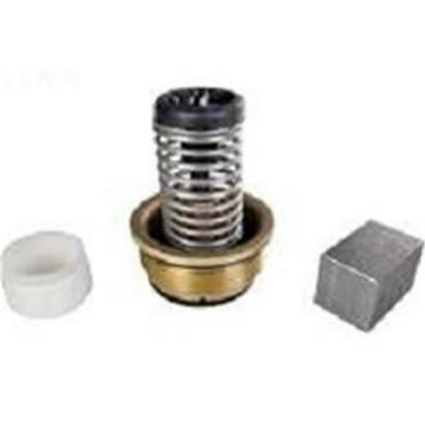 Pentair Bypass Valve Kit for Max-E-Therm-MasterTemp ASME 460923 ...