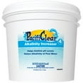 PacifiClear 25 Lb. Alkalinity Increaser Granule F085025025PC - Walmart.com
