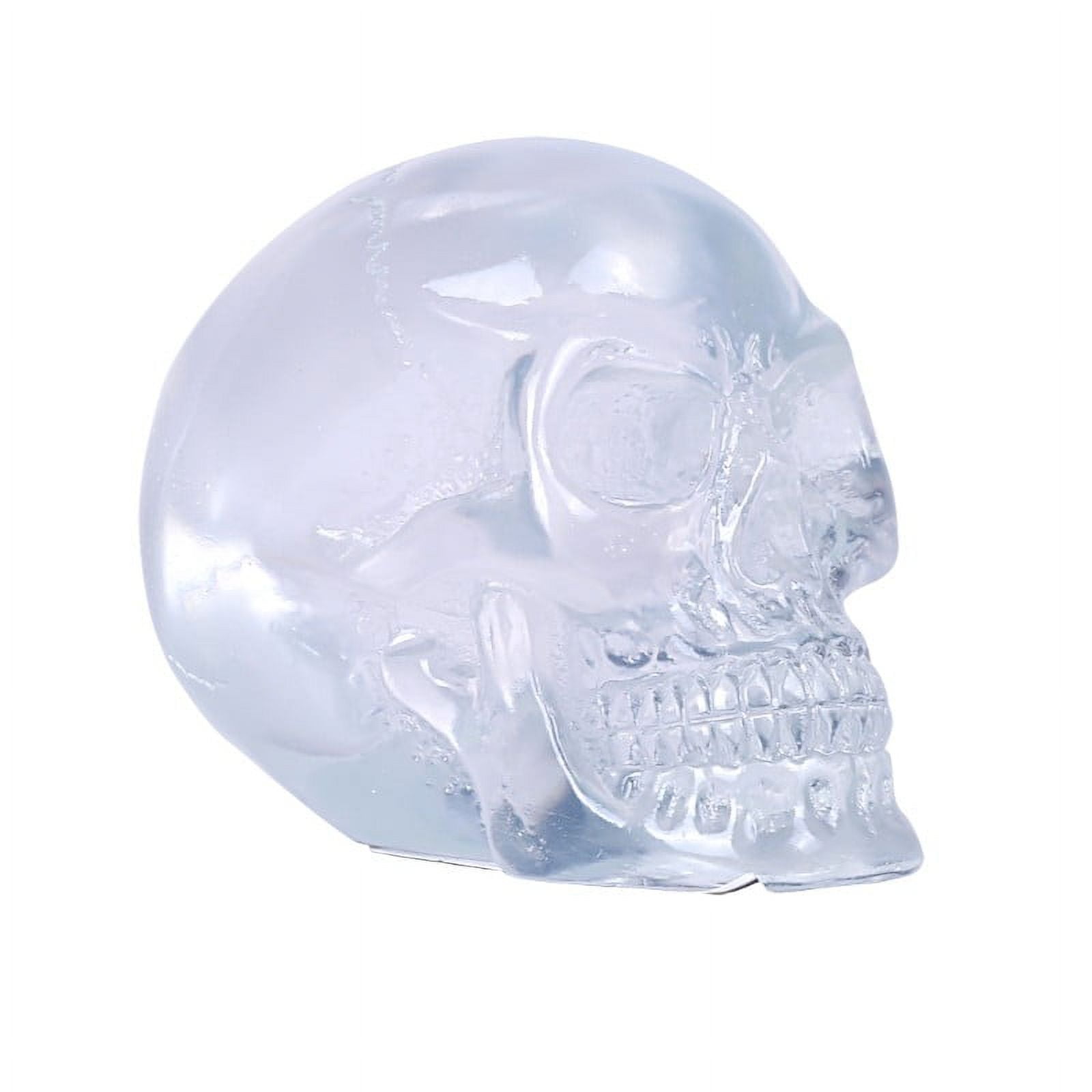 Pacific Giftware Clear Translucent Skull Collectible Home Decor Resin ...