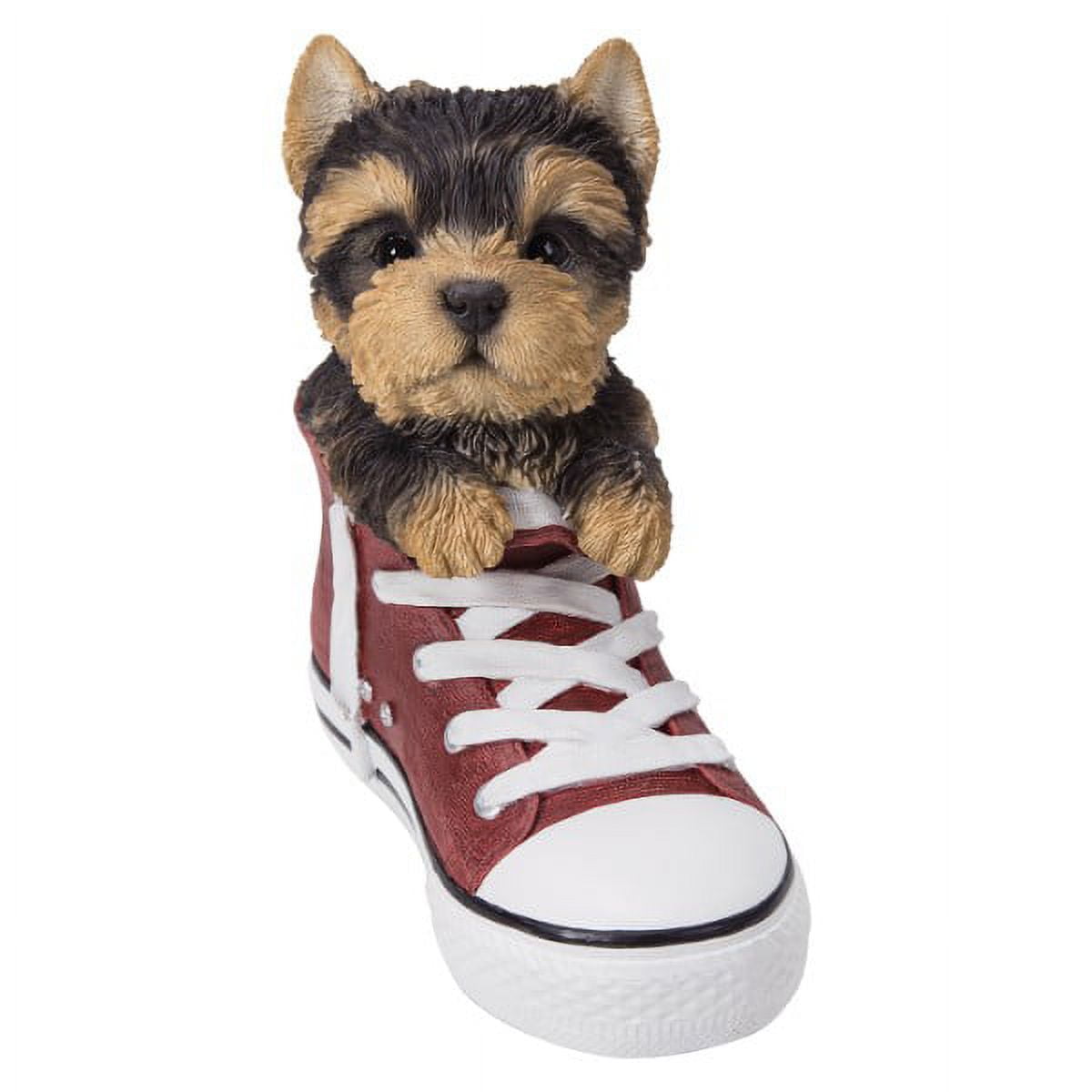 Pacific Giftware PT All Star Animal Yorkie Puppy Dog in The Shoe ...