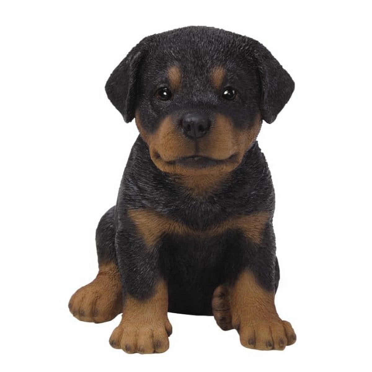 Pacific Giftware PT Realistic Look Black and Tan Rottweiler Puppy Dog ...