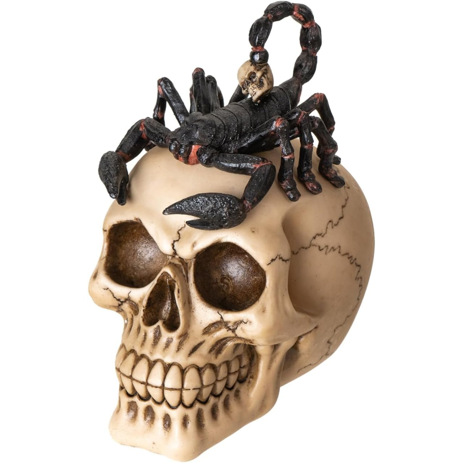 Pacific Giftware Scorpion on Skull Gothic Tabletop Figurine Detailed ...