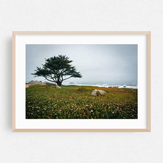 Pacific Grove California Wall Art Coastal Nature Home Decor Landscape ...