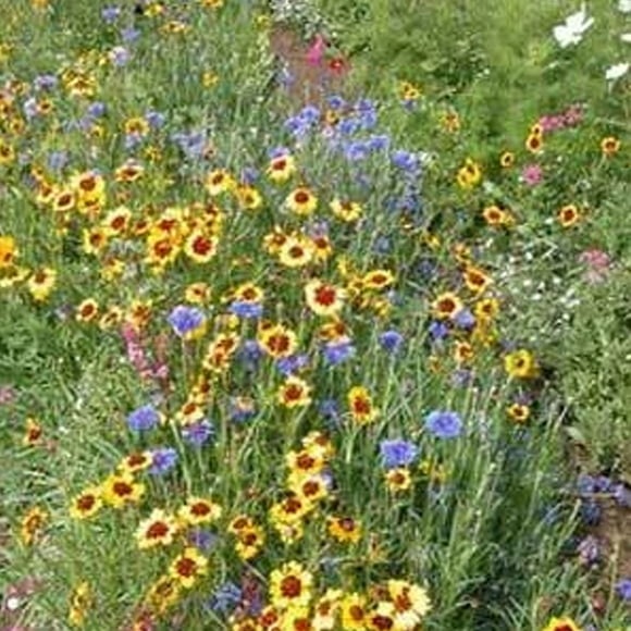 Pacific Northwest Seeds