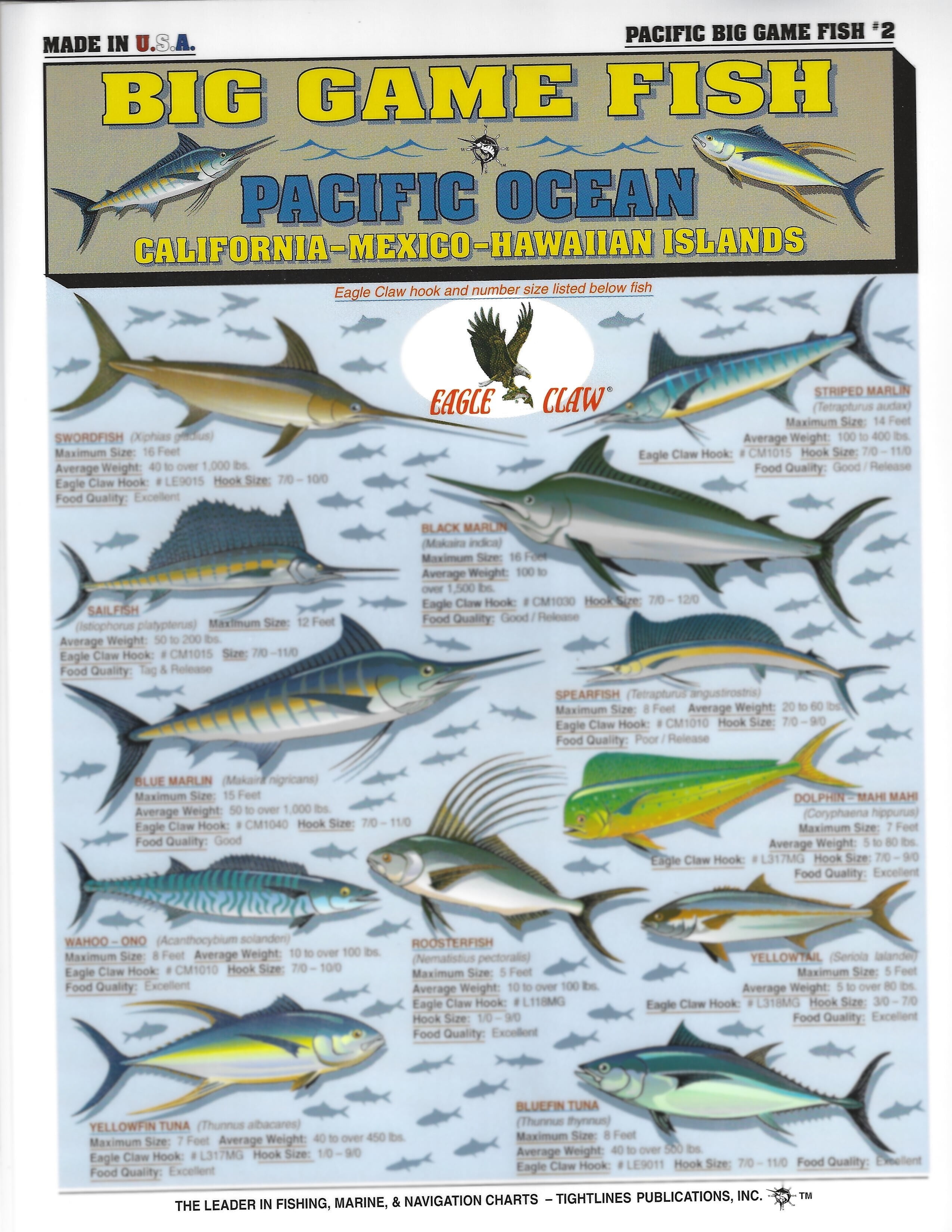 Pacific Ocean Big Game Fish Identification #2 (California, Mexico ...