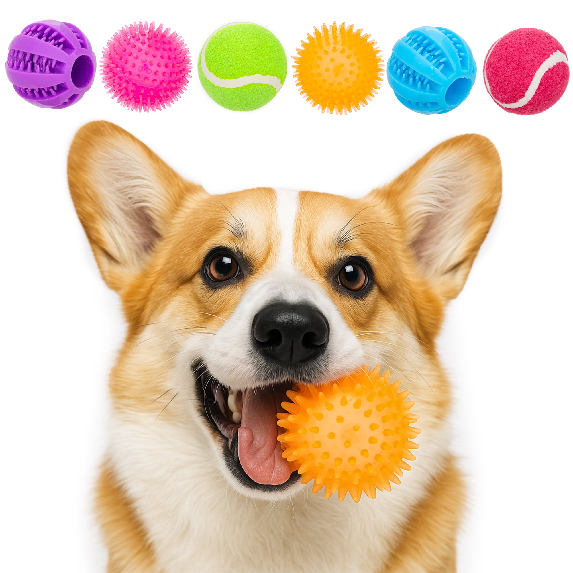 Pacific Pups Products 6 Pack of Dog Balls, Treat Dispensing, Squeaky ...