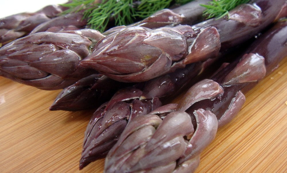 Pacific Purple Asparagus 10 Roots - The Best Purple Asparagus - No GMOs ...