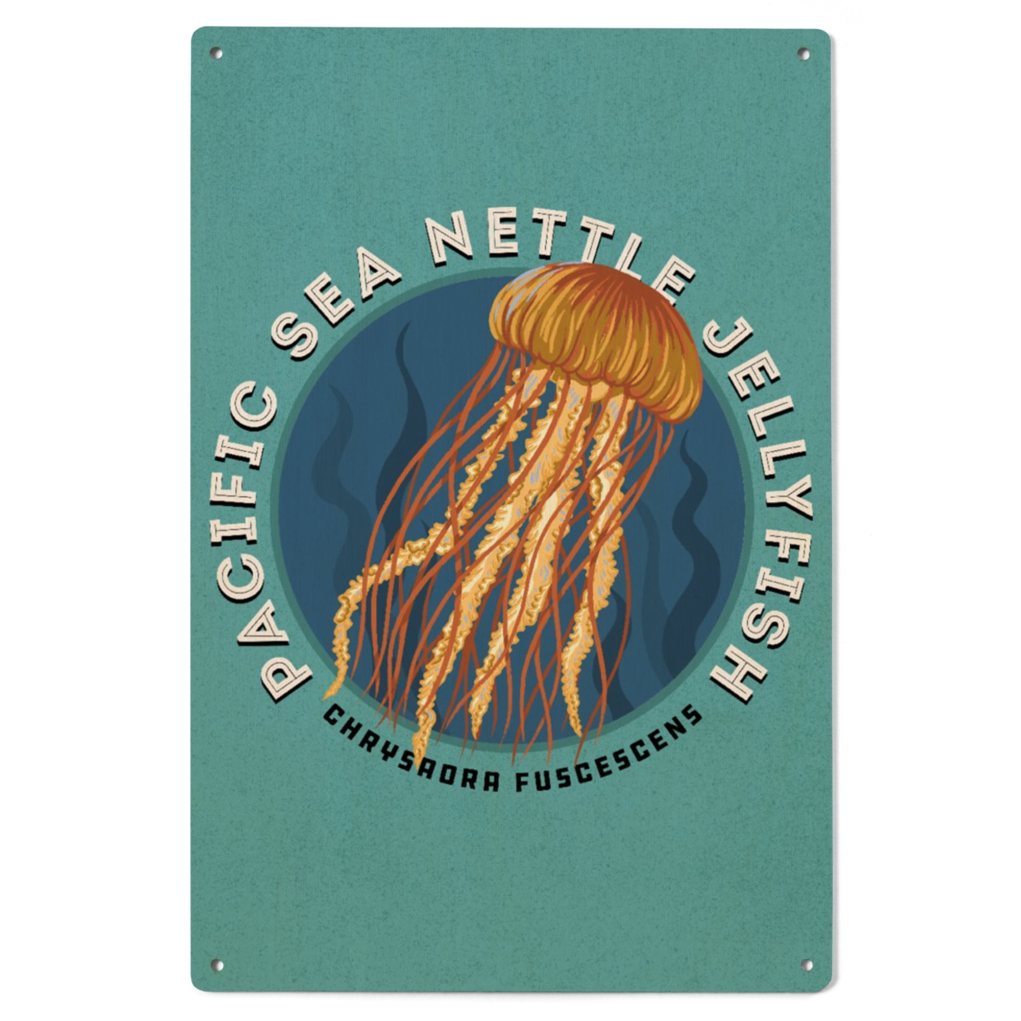 Pacific Sea Nettle Jellyfish, Facts About, Contour Birch Wood Wall Sign ...