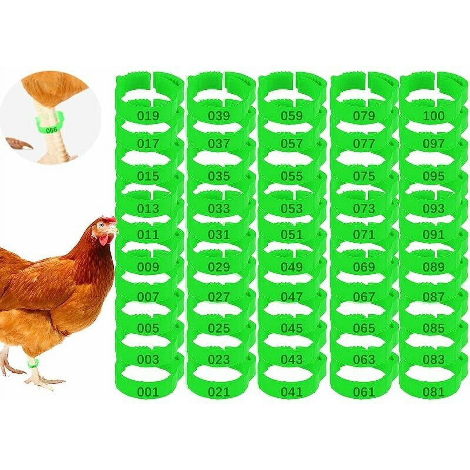100 Pack Green Adjustable Chicken Leg Rings for Birds & Poultry, Ideal ...