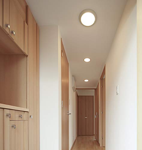 (Pack of 2) Topaz Lighting 70686, 6 h LED Surface Mount Disk Light ...