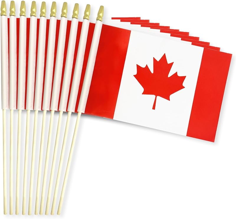Pack of 20, Handheld Canadian Flags 5x8 Inch - Small Canada Flags on ...
