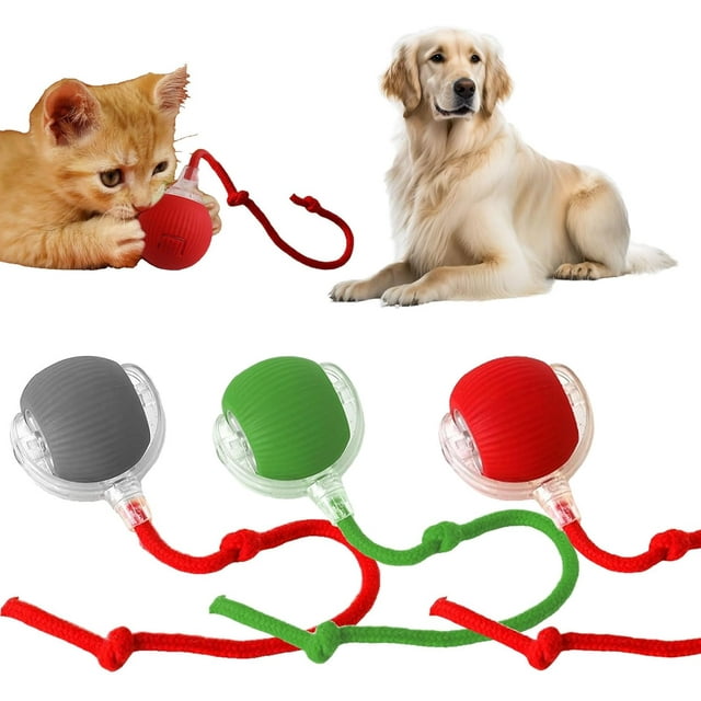 Pack of 3 Chewie Viral Rolling Dog Ball, Chewie Doggie Ball, Chewie ...