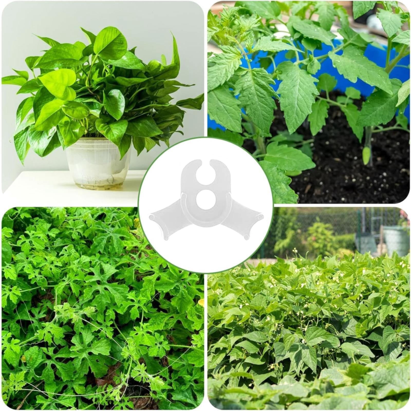 Pack Of 40 Plant Benders Plant Trainer For Low Load Plant Support Clips ...