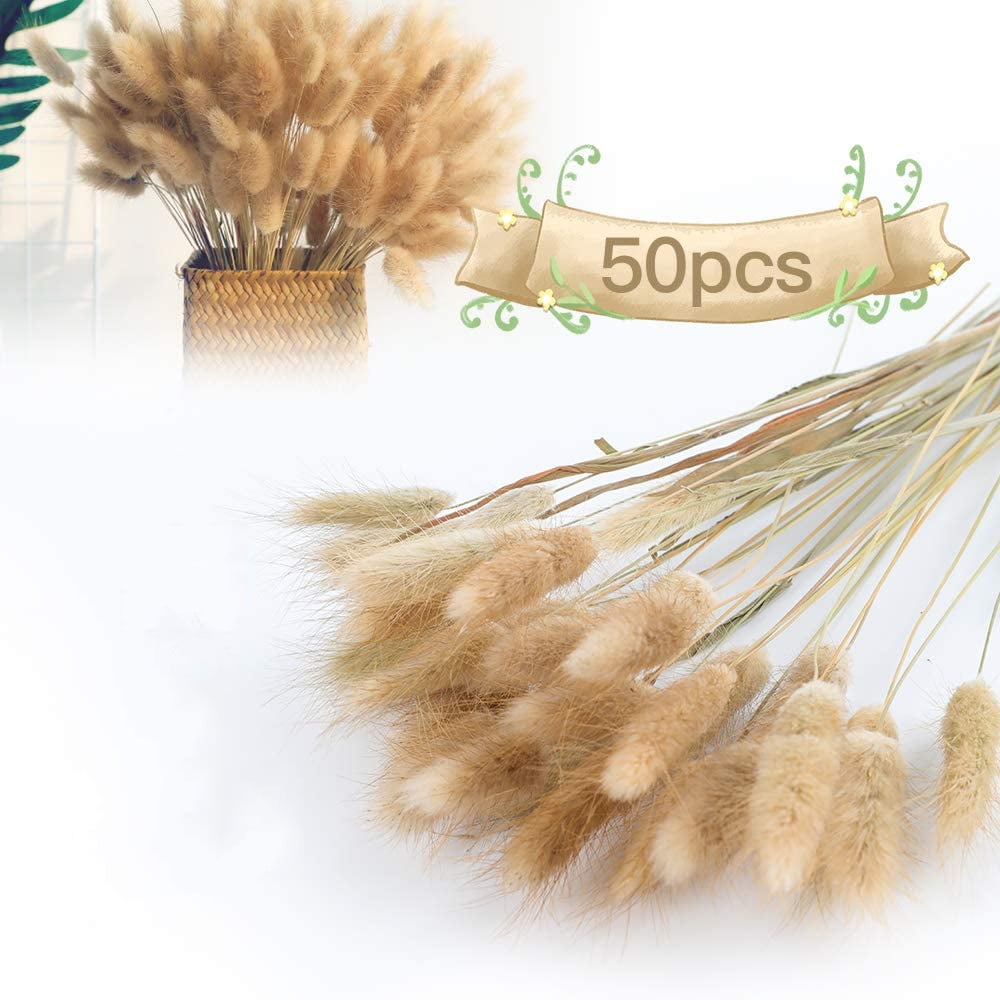 Pack Of 50 Dried Flowers Pampas Grass Decoration, Dried Pampas Grass ...