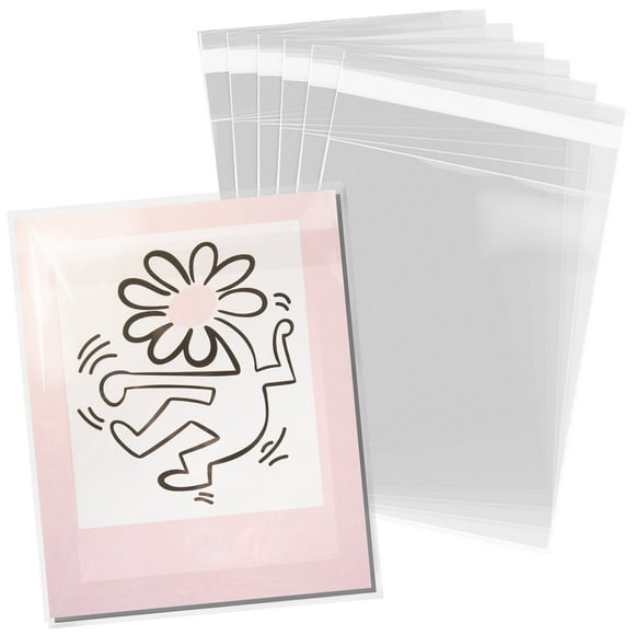 Large Resealable Bags