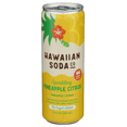 (Pack Of 12) Hawaiian Soda Co Juice Sparkling Pineapple Citrus 12 Fo ...