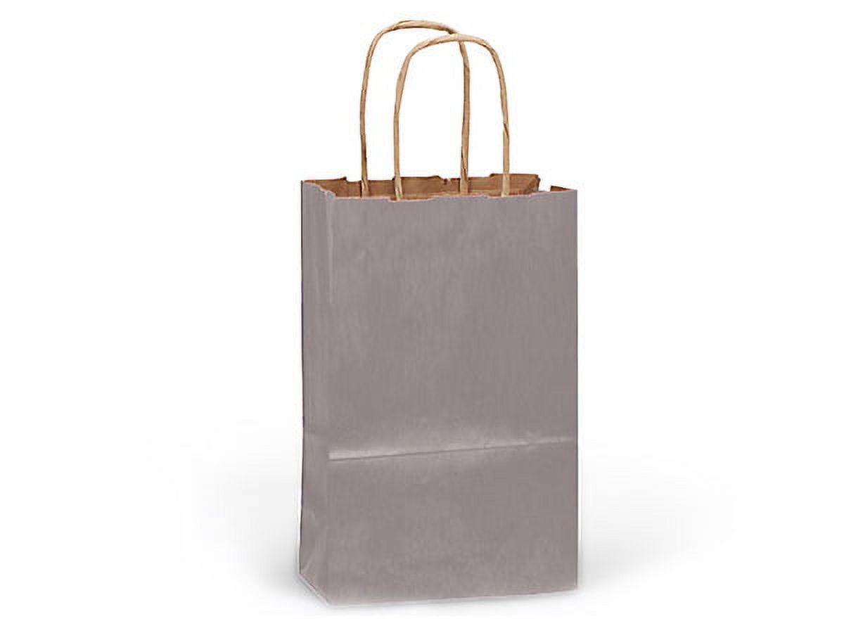 Pack Of 250, Metallic Silver Recycled Kraft Paper Shopping Bags - Rose ...