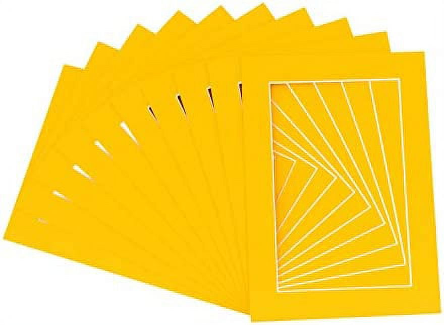 Pack Of Ten Acid Free 11X14 Mats Bevel Cut For 9X12 Photos - Golden ...