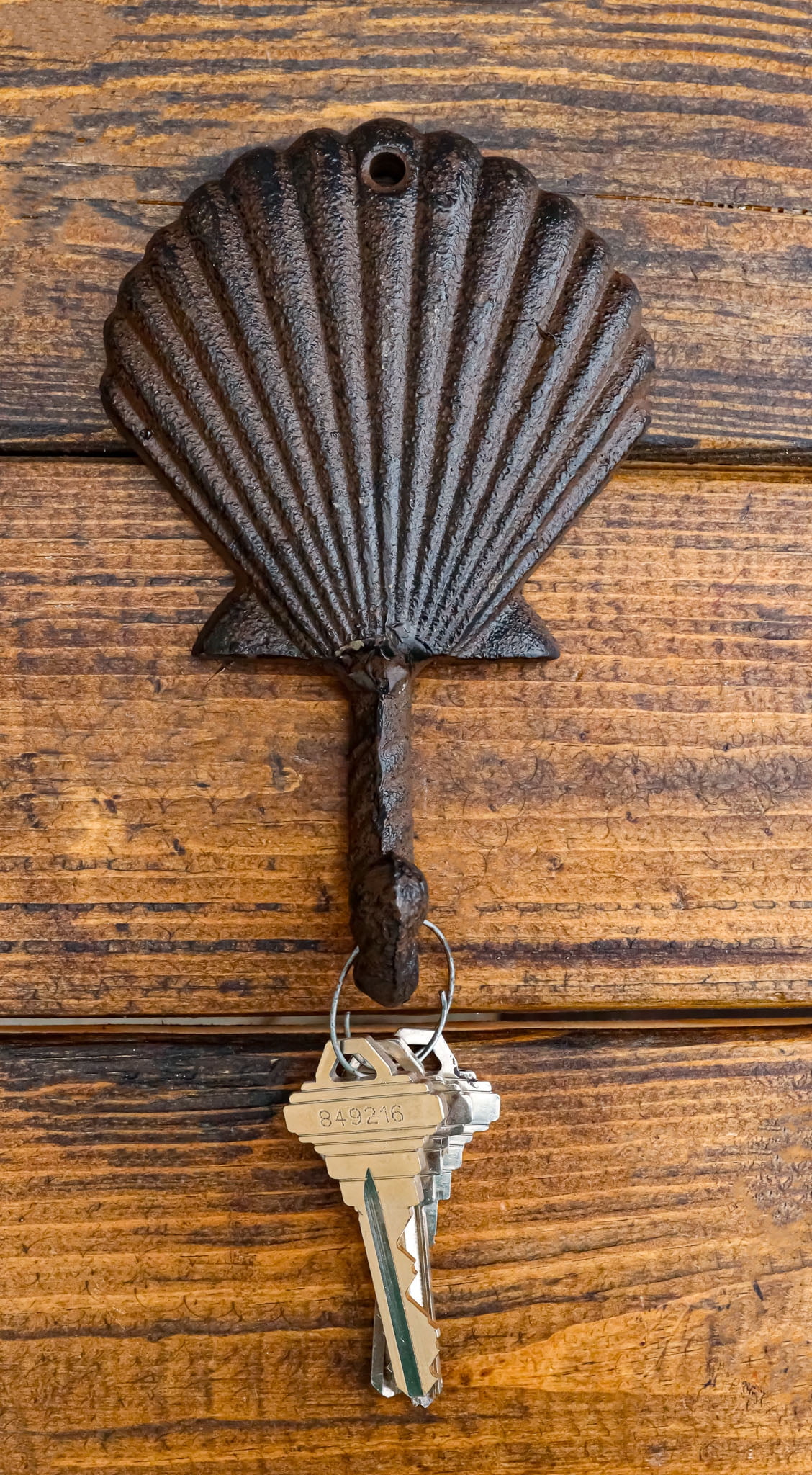 Pack Of Two Cast Iron Coastal Marine Ocean Scallop Shell Wall Coat Hook ...