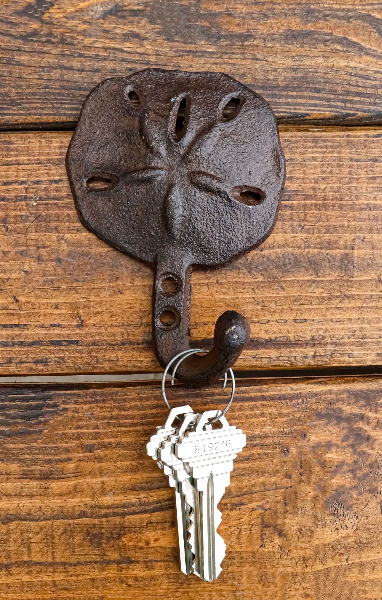 Pack Of Two Coastal Marine Rustic Ocean Sand Dollar Single Wall Coat ...