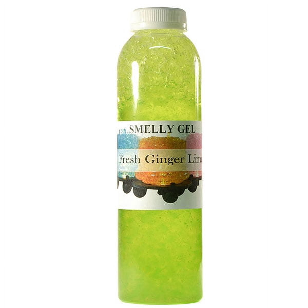 Pack of 1, 16 Ounces Smelly Gel Fresh Ginger Lime for Home, Office ...