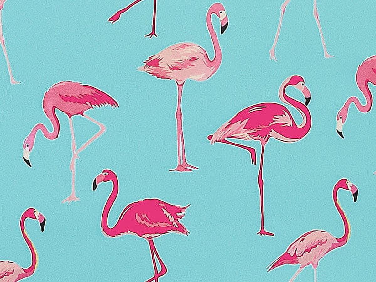 Pack of 1, Flamingo Paradise, 30" x 25' Wrapping Paper Roll For Florals ...