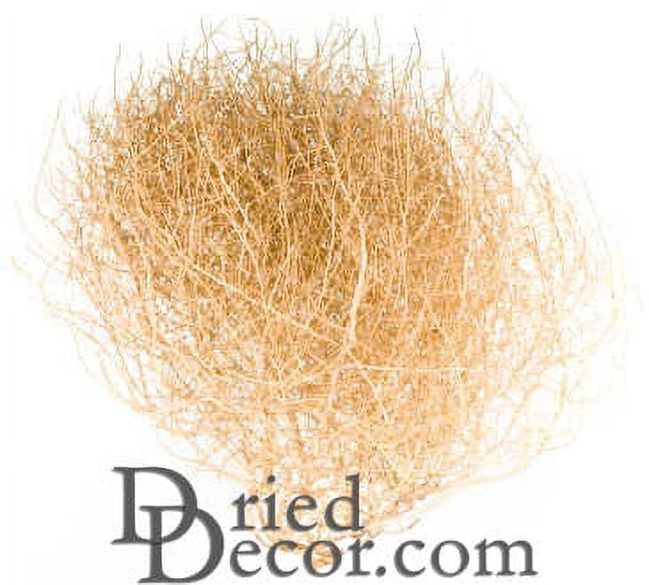 Pack of 1, Not Painted, Gigantic Country Tumbleweed for Holiday, Party ...
