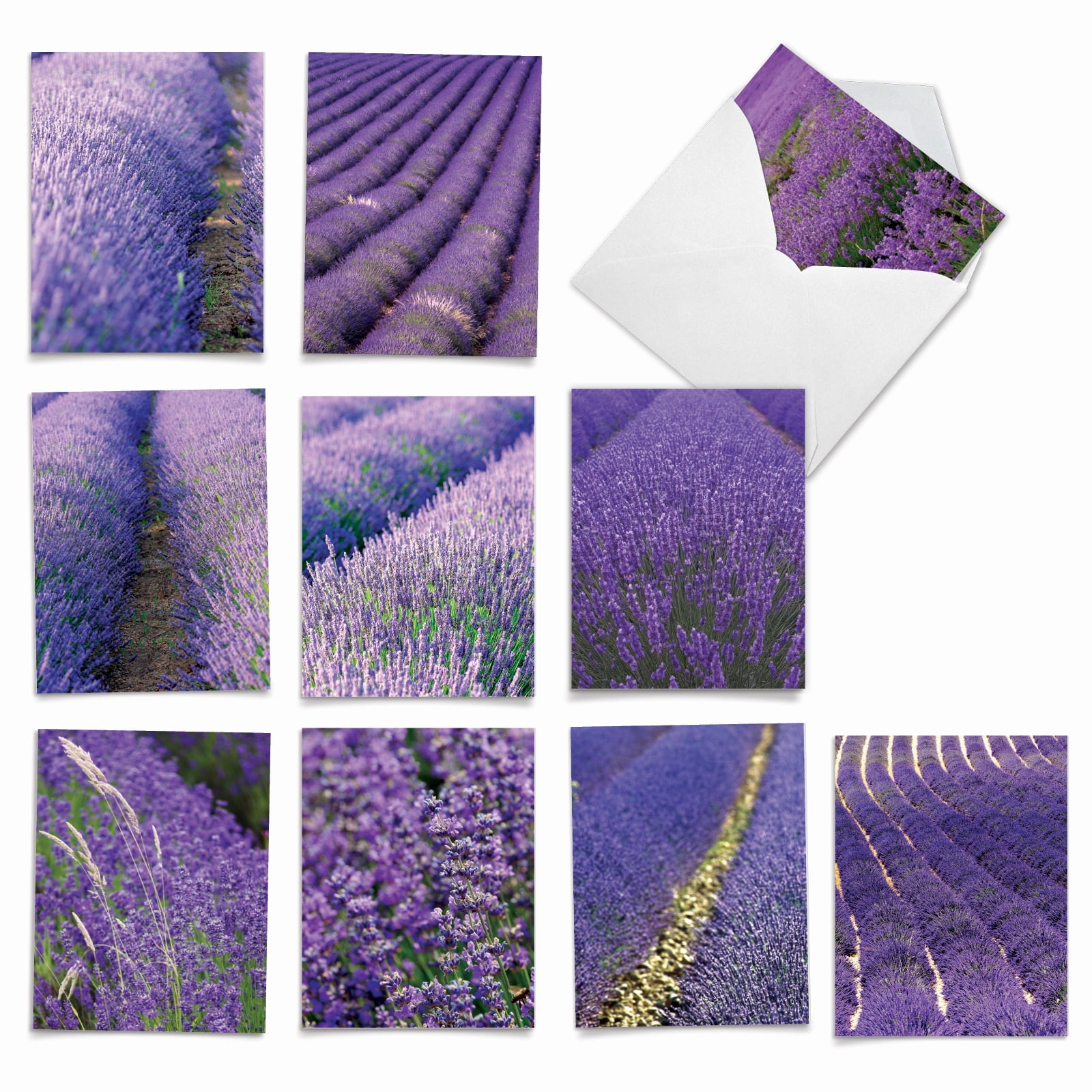 Pack of 10 All Occasion Blank Note Cards with Envelopes (4 x 5.12 Inch ...