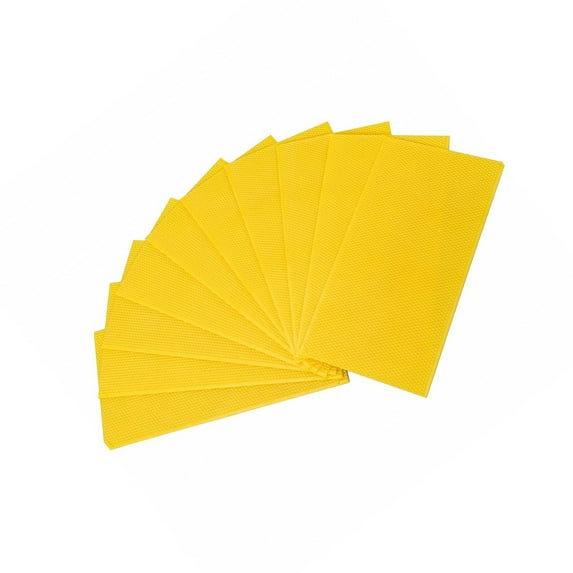 Pack of 10 Bees Hives Substructure Sheets for Enhanced Hygiene in Damp ...