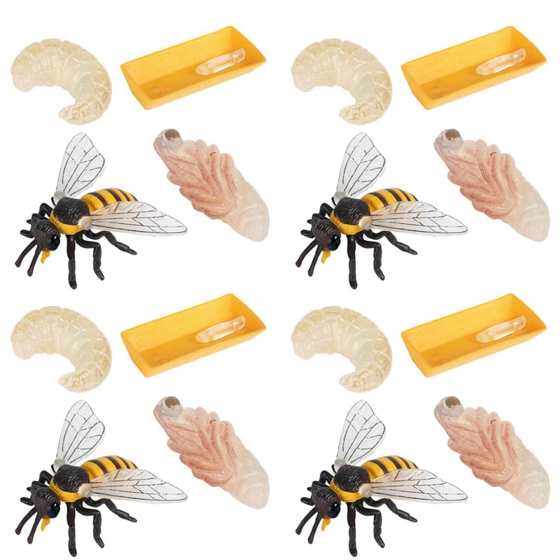 Pack of 12 Insect Figurines Life Cycle of Realistic Insects Figures ...