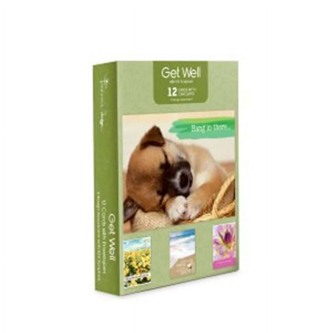 Pack of 12 Religious Get Well Cards, Boxed Enclosure Cards 4 Designs ...