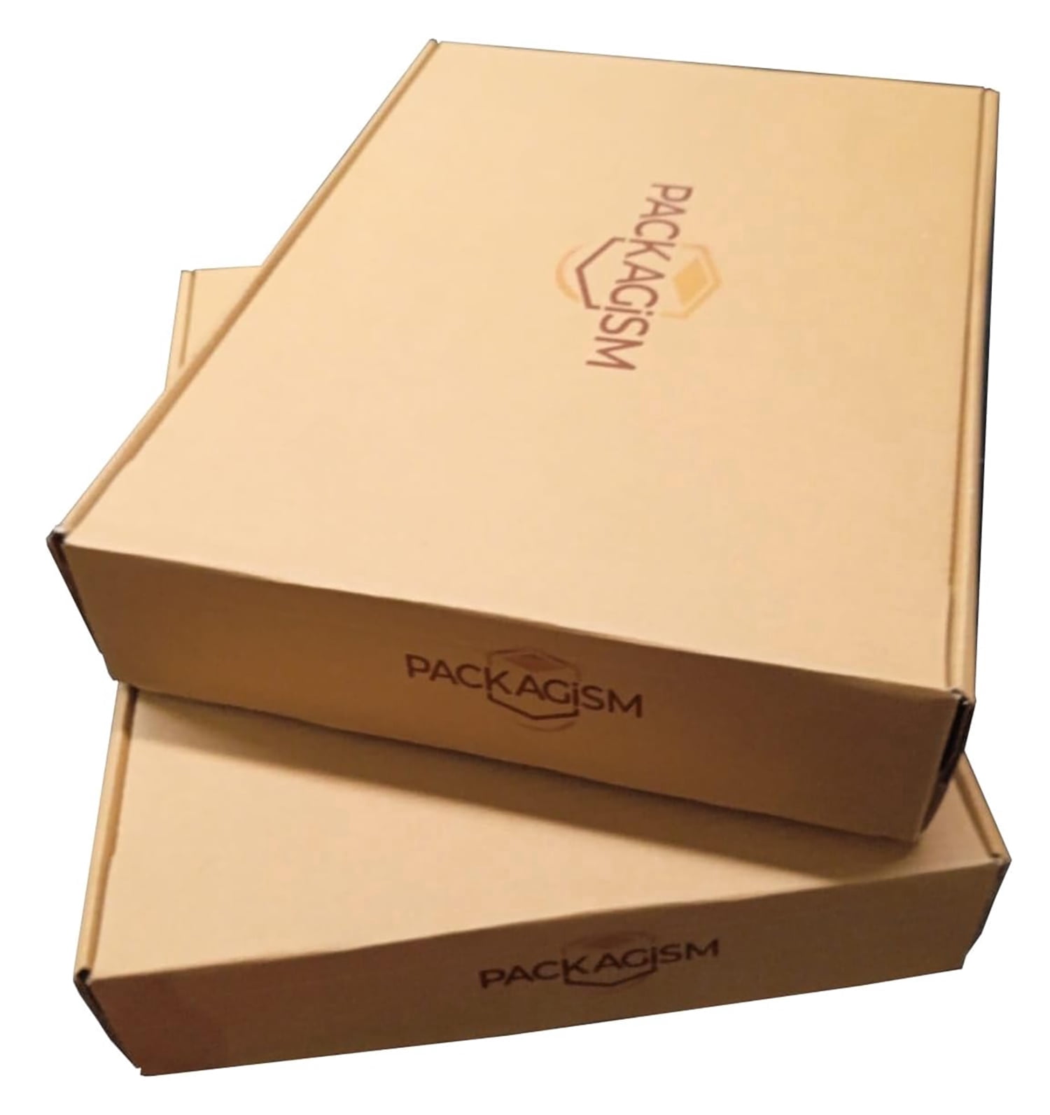 (Pack of 2 Boxes) PACKAGISM Laptop Shipping Box for 13-inch to 15.6 ...