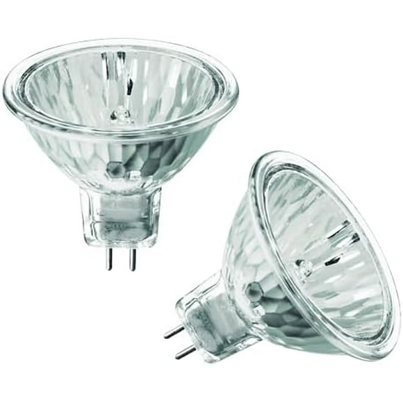 6v Watt Bulb