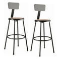 (Pack of 2) NPS 30" Heavy Duty Steel Stool With Backrest, Black ...
