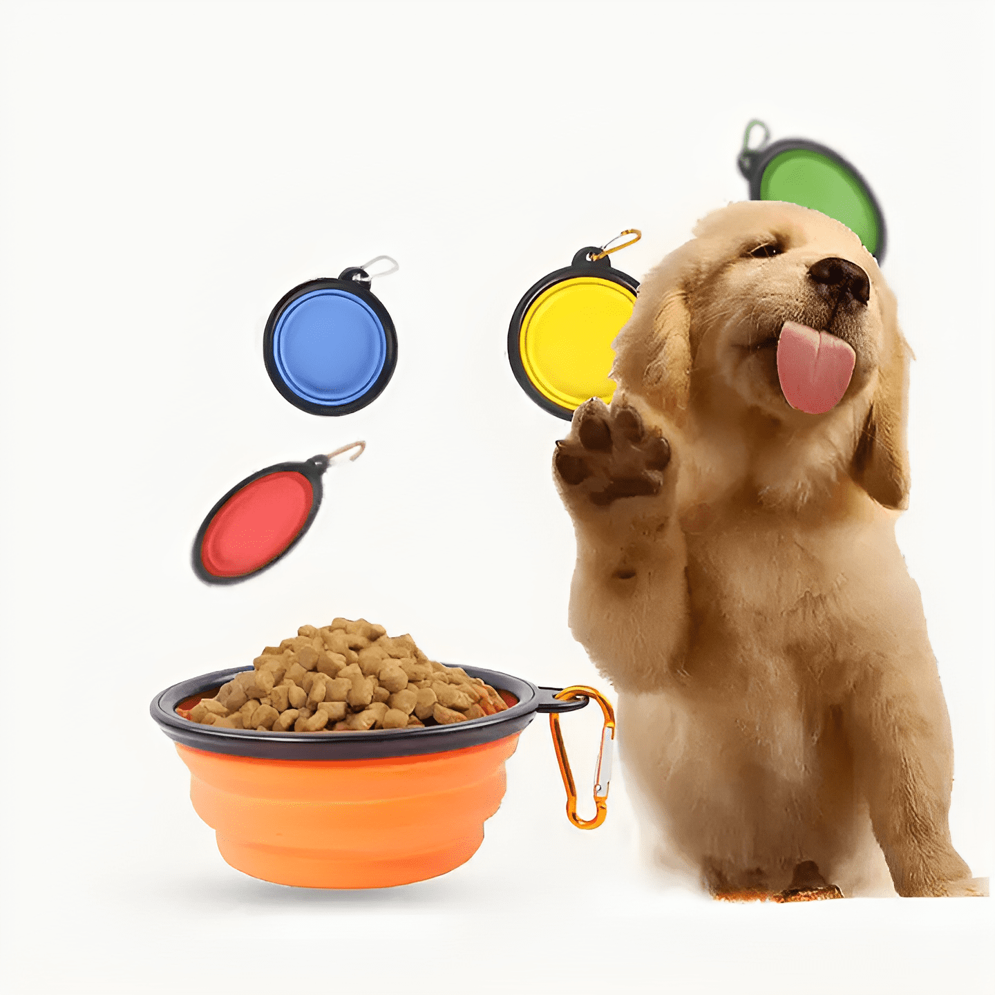 Pack of 2 Silicone Foldable Outdoor Dog Bowl - Outdoor Silicone Pet ...