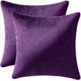 Pack of 2, Velvet Soft Solid Decorative Square Throw Pillow Covers Set ...