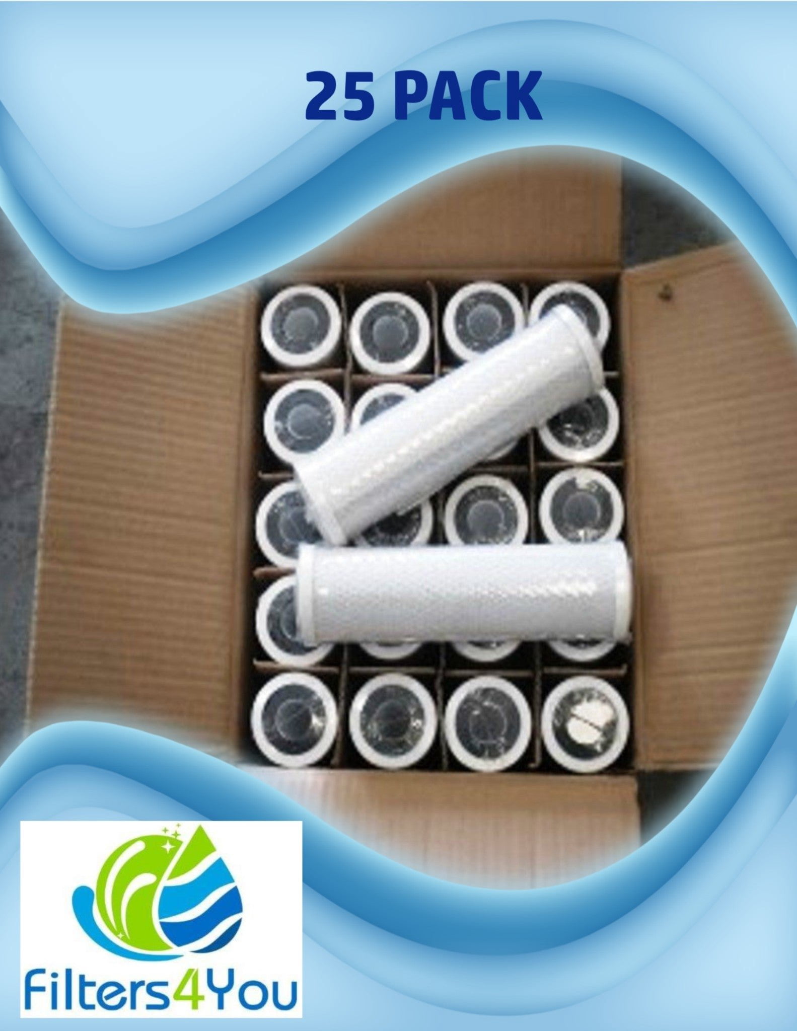 Pack of 25 Fits Hoshizaki CTO-10Compatible Carbon Block Filters ...