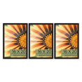 Pack of 3 Matte Black 16x20 Picture Frames | Solid Wood | UV-Resistant ...
